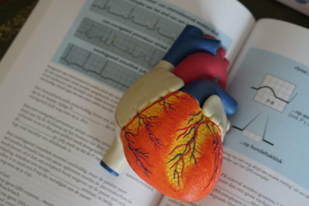 Exploring the 5 Key Components of Health-Related Fitness